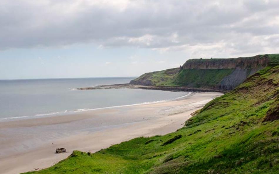 Top Dog Friendly Yorkshire Holiday Parks